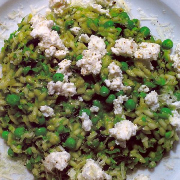 Risotto met doperwtjes, ricotta en citroenrasp van The River Cafe ...
