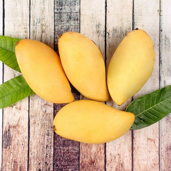 Mango trifle - recept - okoko recepten