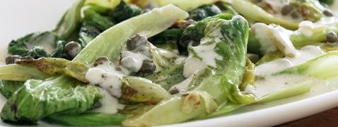 Andijvie recepten - alle andijvie recepten op een rij - okoko recepten