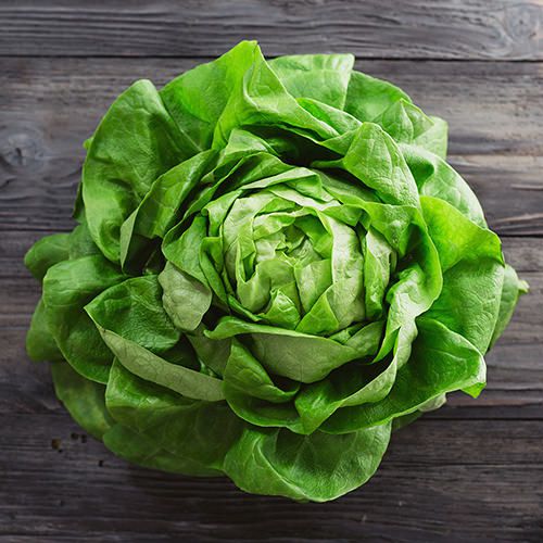 Sla recepten - alle sla recepten op een rij - okoko recepten