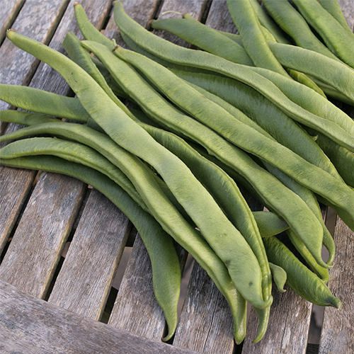 Snijbonen recepten - alle snijbonen recepten op een rij - okoko recepten