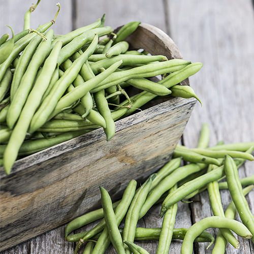 Sperziebonen recepten - alle sperziebonen recepten op een rij - okoko ...