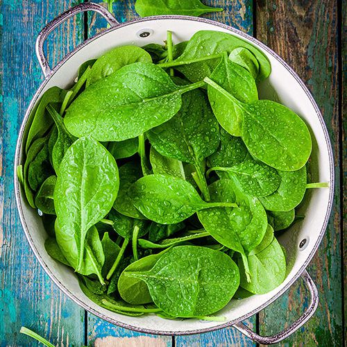 Spinazie recepten - alle spinazie recepten op een rij - okoko recepten