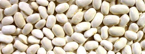 Witte bonen recepten - alle witte bonen op een rij - okoko recepten