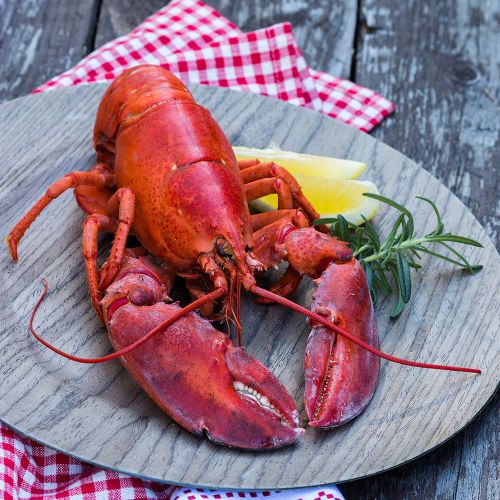 Kreeft recepten - alle kreeft recepten op een rij - okoko recepten